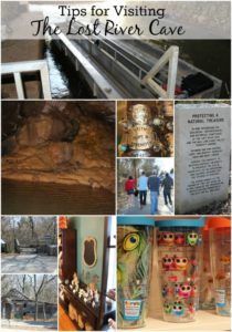 Lost River Cave: An Overview of Kentucky’s Only Underground Boat Tour ...