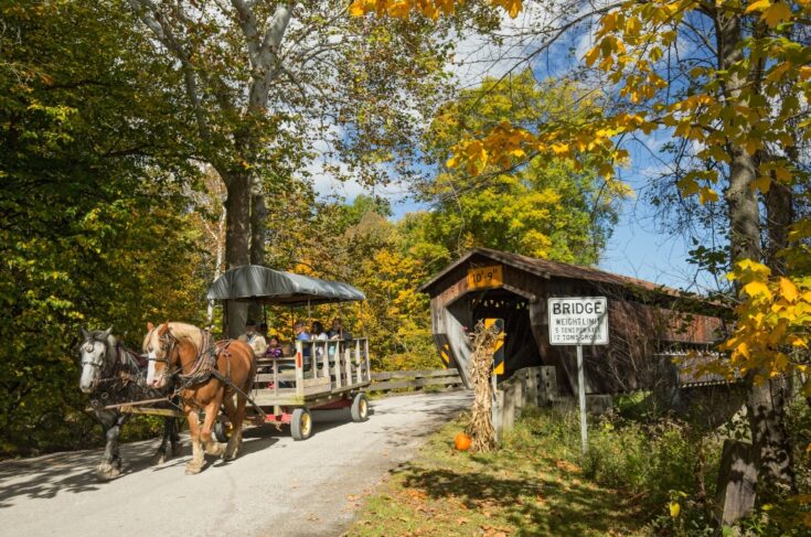 40 Things To Do In Ohio In October That You Don t Want To Miss 2023 40-things-to-do-in-ohio-in-october-that-you-don-t-want-to-miss-2023